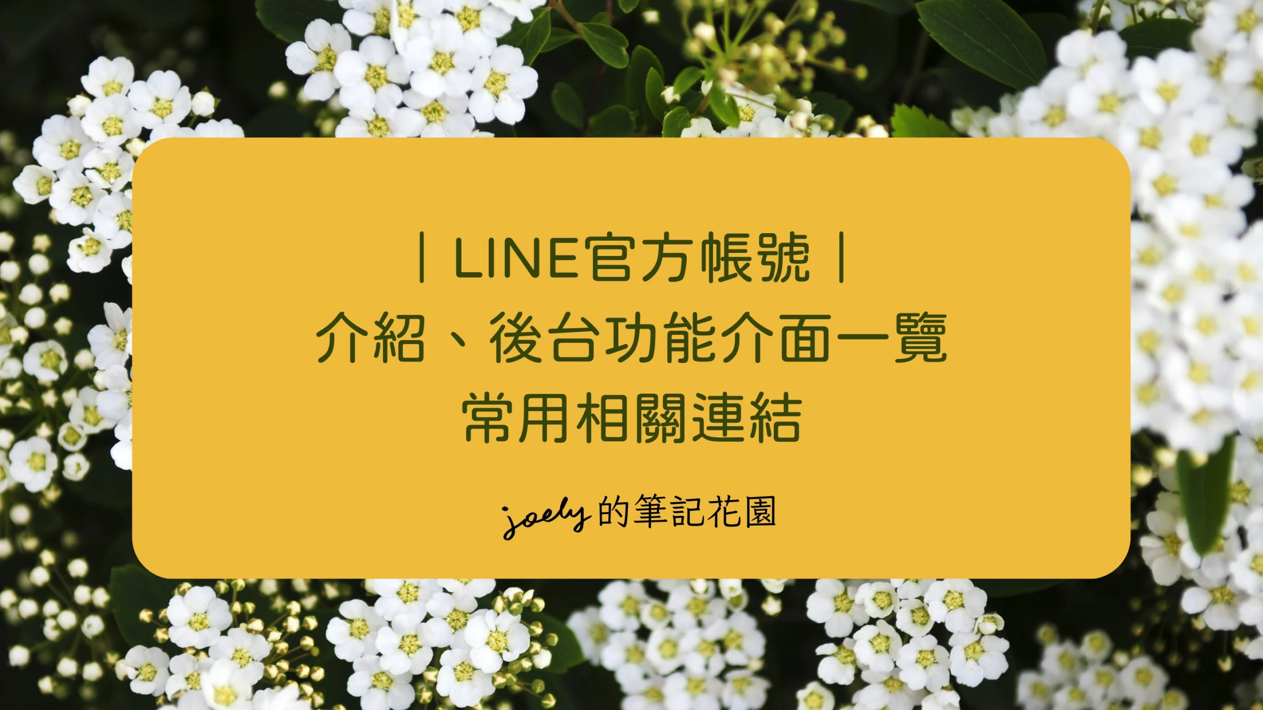 LINE OA-02｜LINE官方帳號介紹、後台功能介面一覽、常用相關連結 @Joely的筆記花園